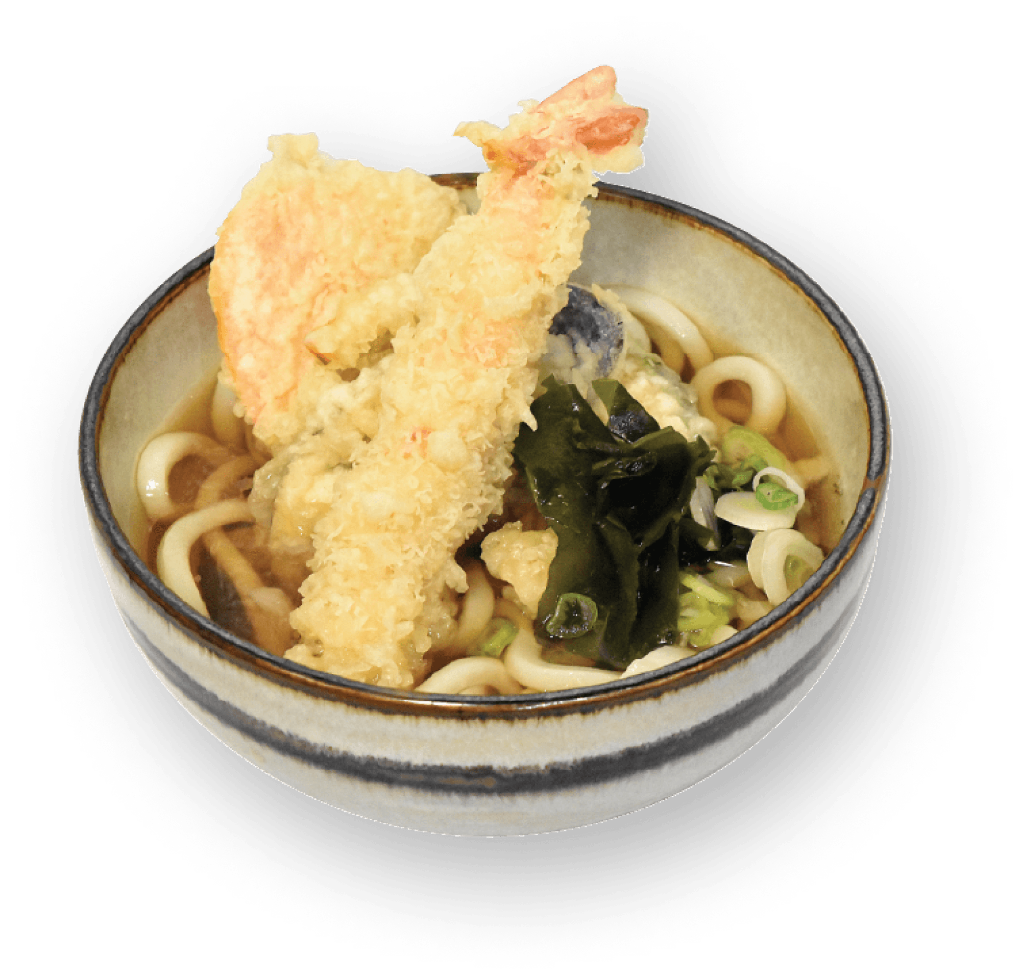 Traditional Udon